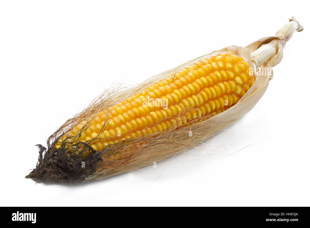 agriculture, farming, countrymen, corn, corncob, fodder, agrarian ...