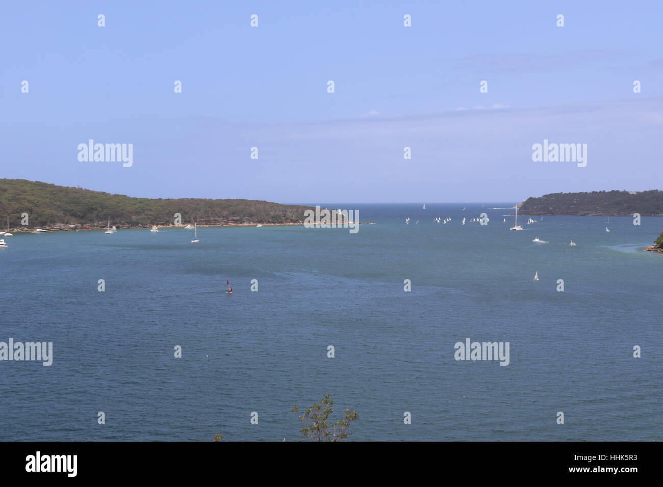 View towards the heads of Sydney Harbour from Mosman Stock Photo - Alamy