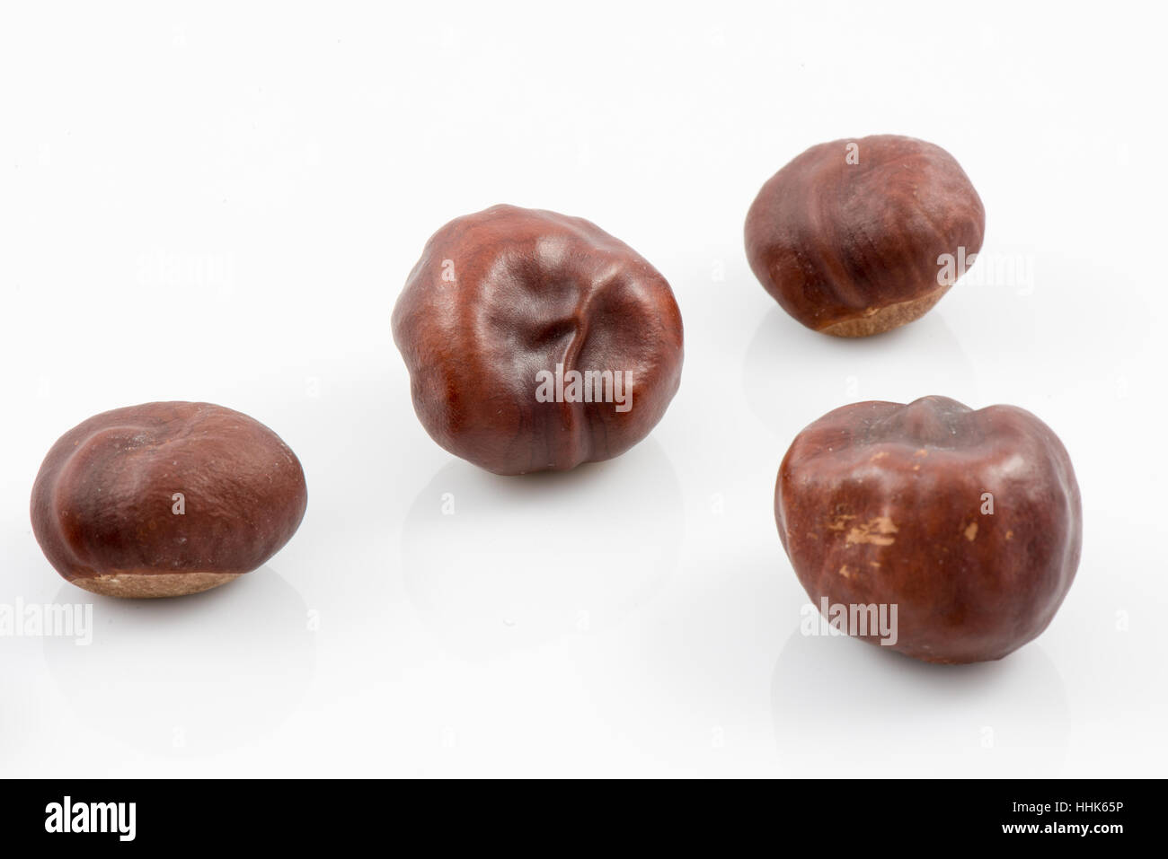 chestnut core isolated on white background Stock Photo - Alamy