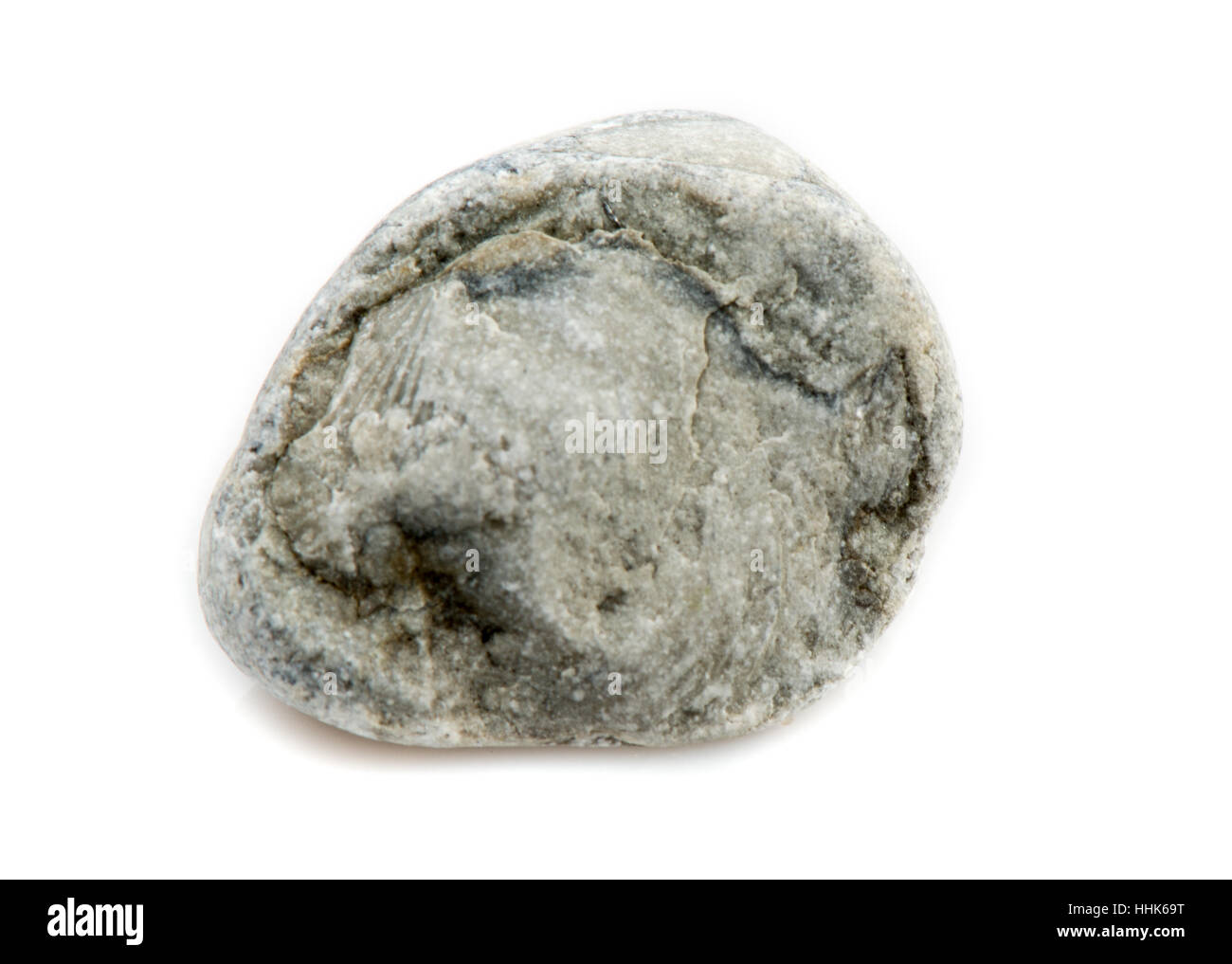 single stone isolated on white background. geological element Stock ...
