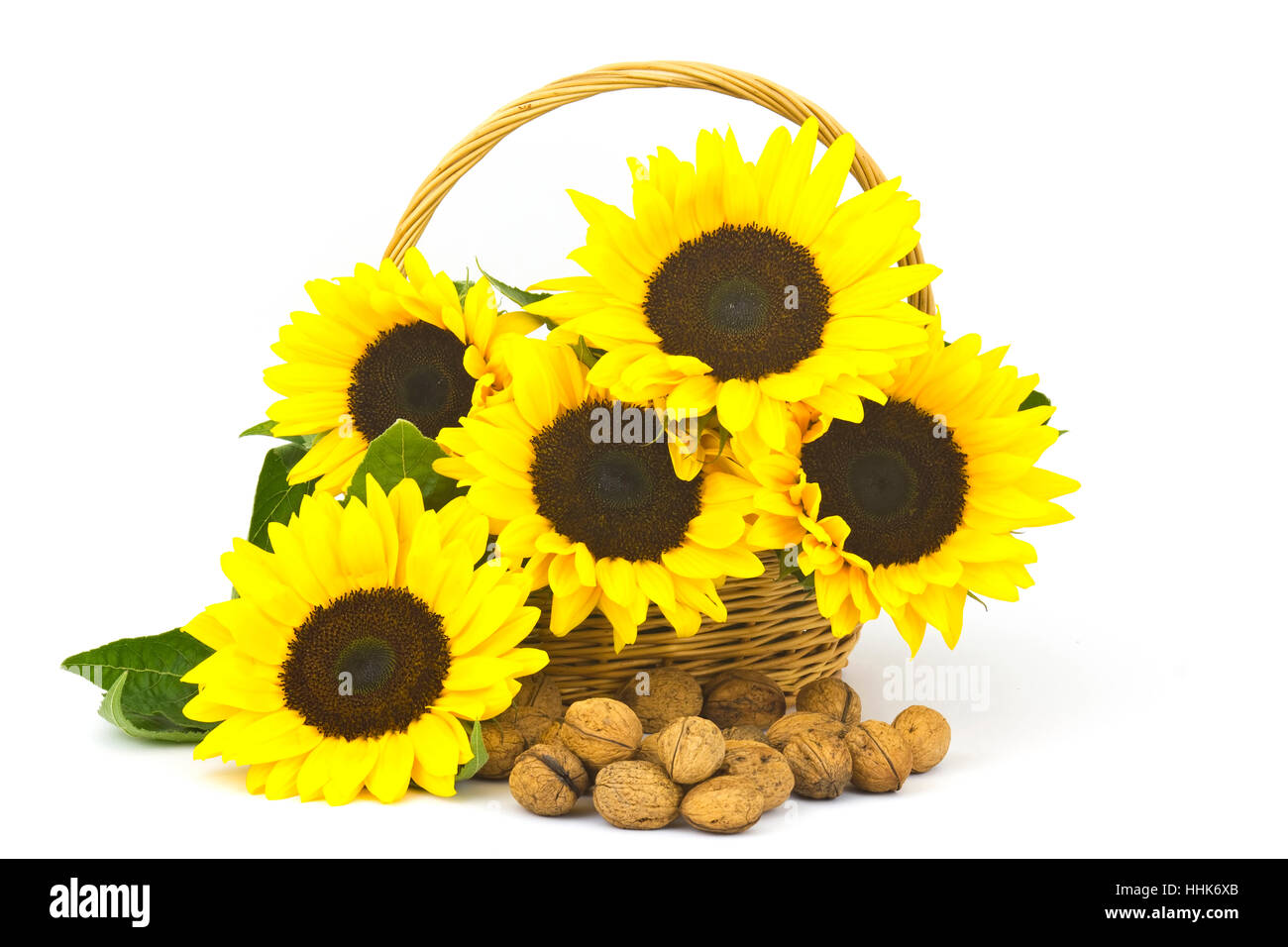 environment, enviroment, composition, feminine, garden, flower, plant ...