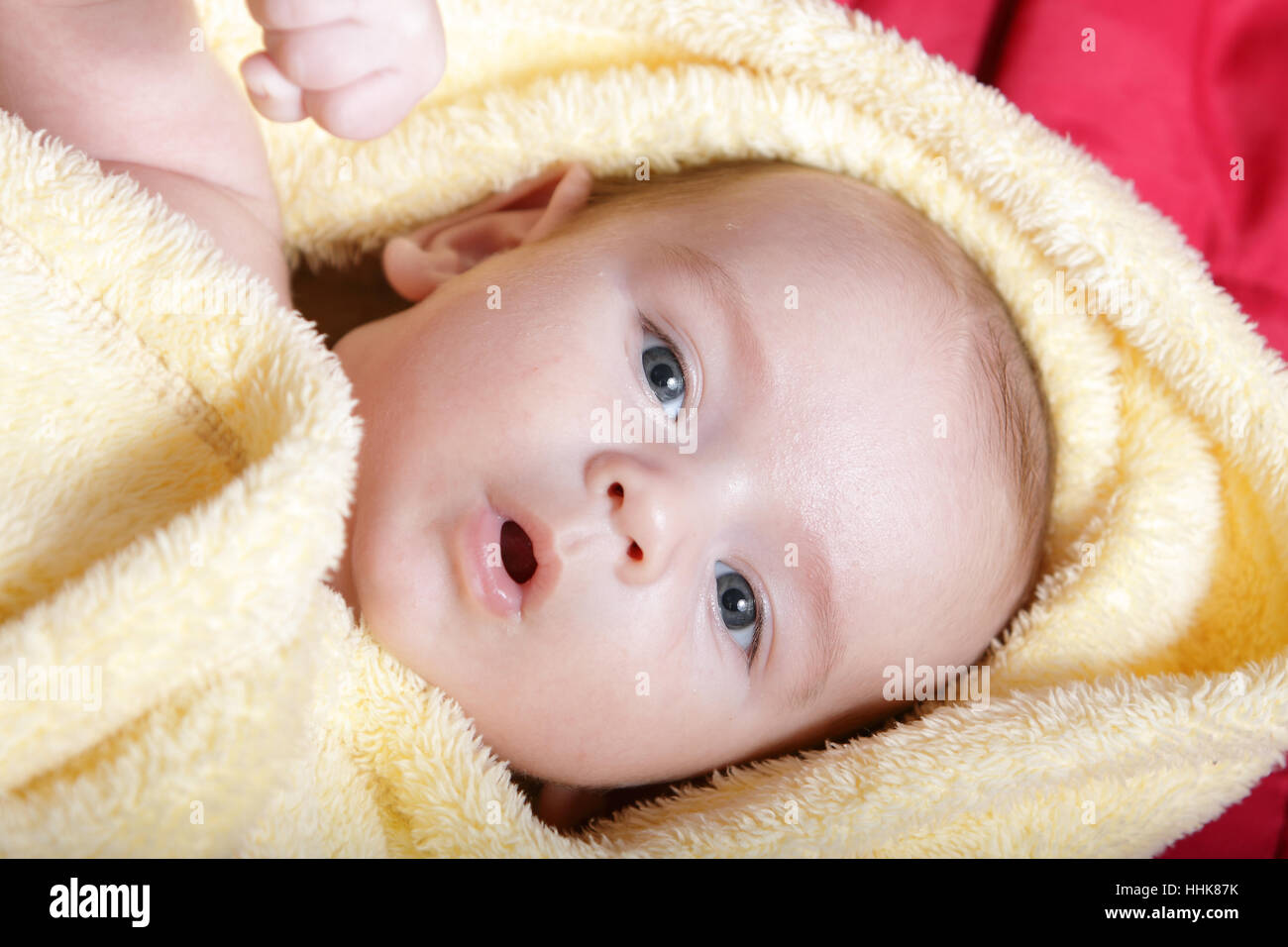 detail, closeup, portrait, blanket, baby, boy, lad, male youngster ...