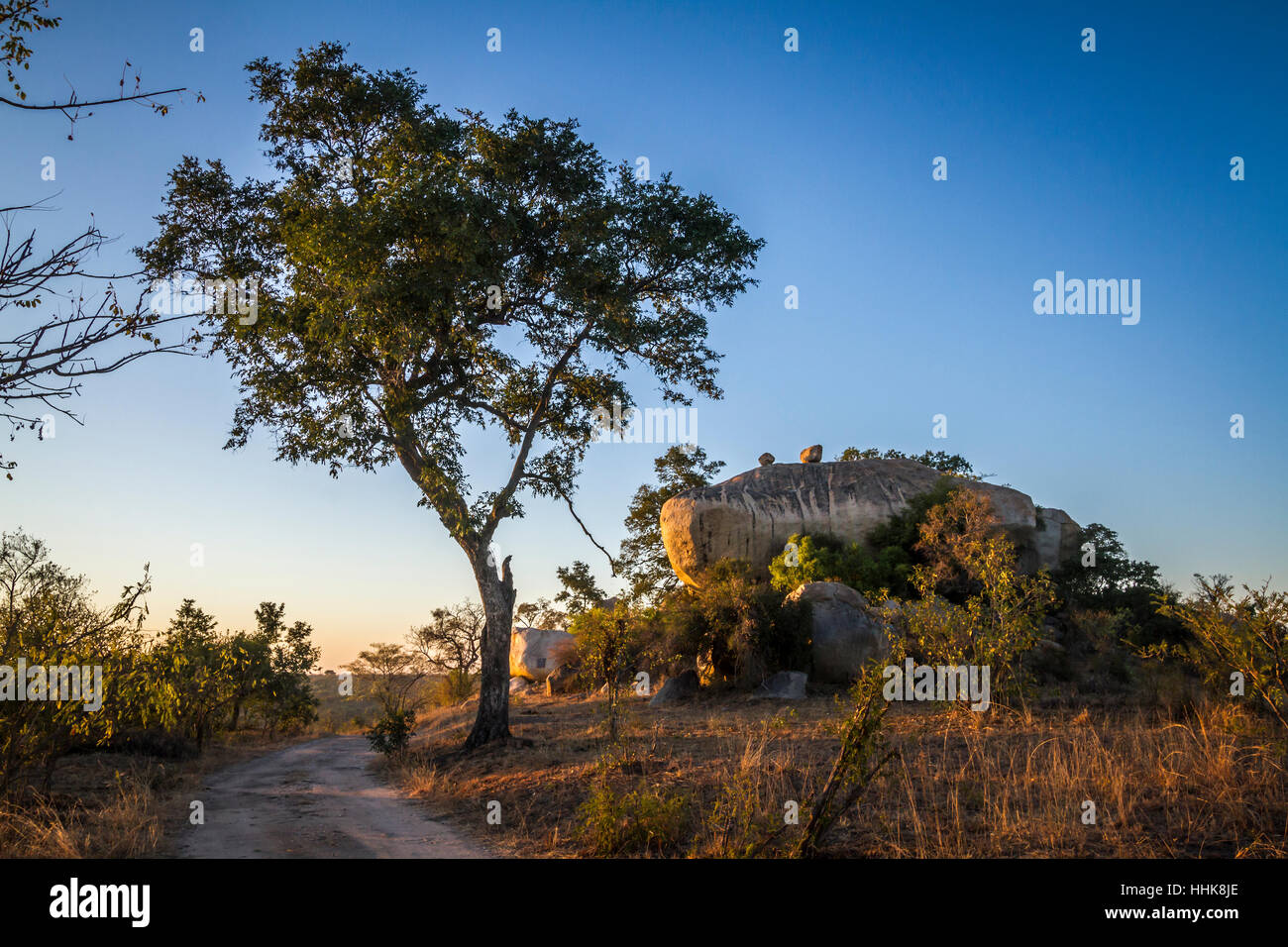 African boulders landscape in Kruger national park, South Africa Stock ...
