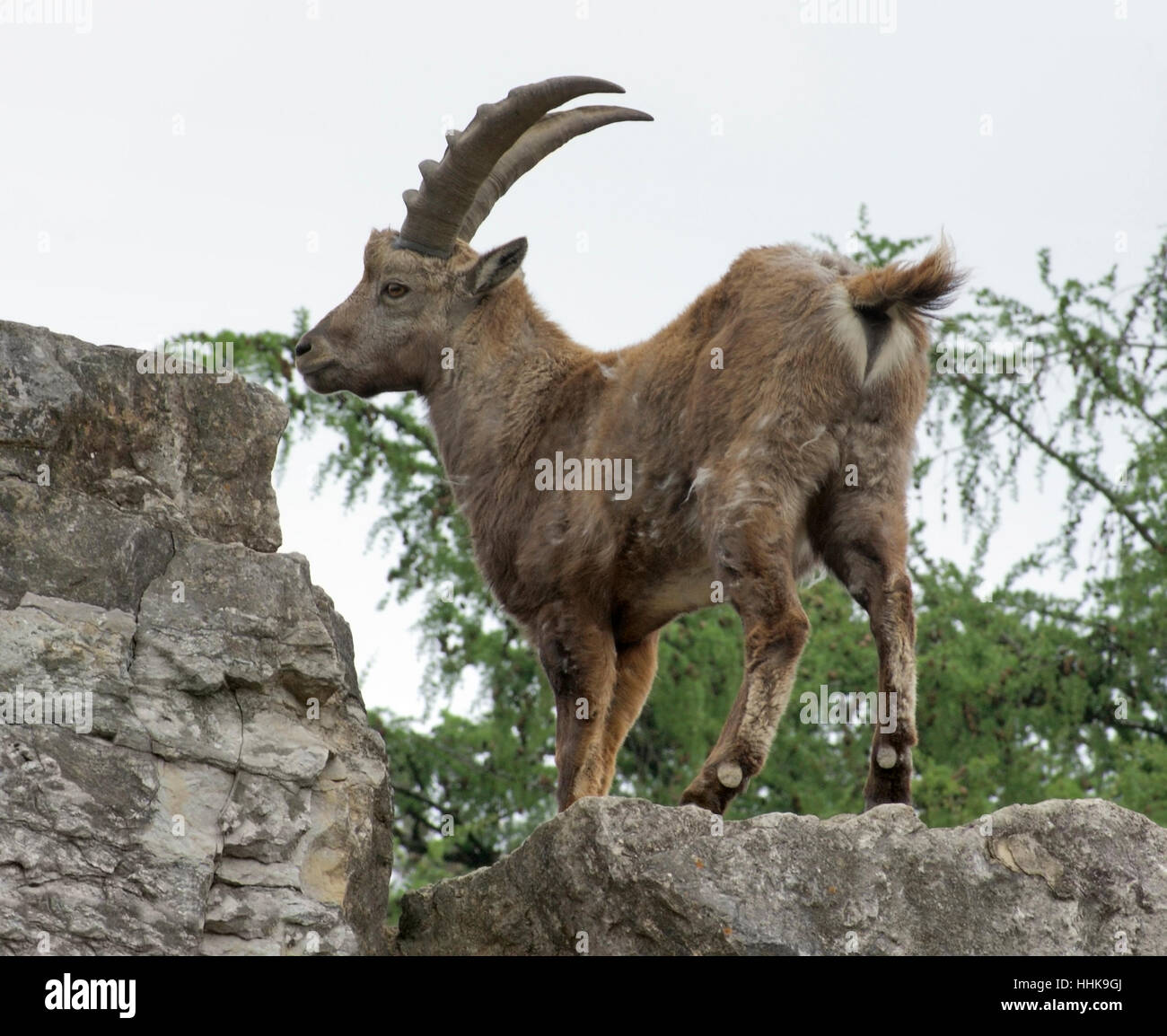 Europische alpen hi-res stock photography and images - Alamy