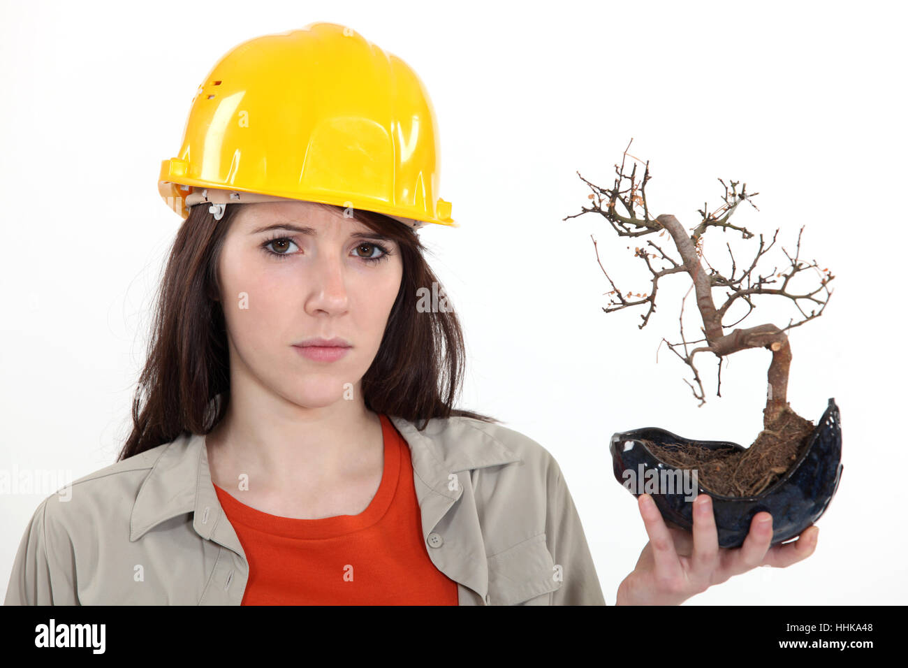 branch, awareness, consciousness, ash, burn, builder, bark, backdrop ...