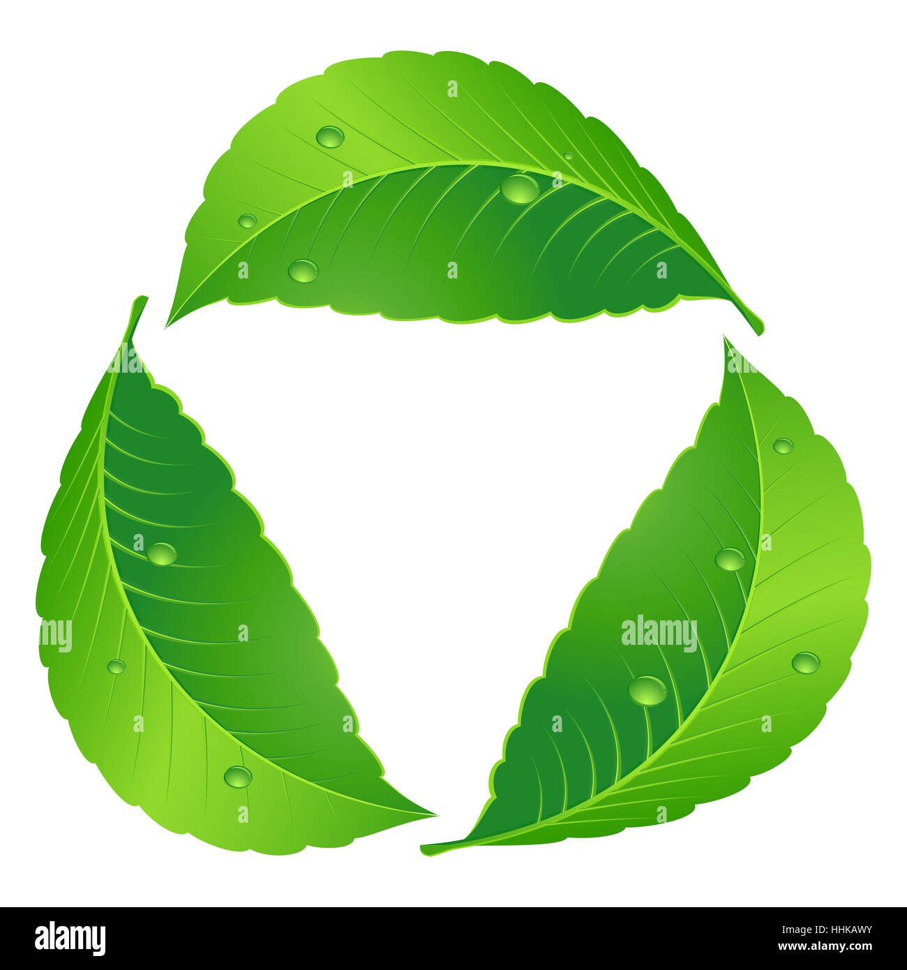leaf, eco, environment, enviroment, isolated, model, design, project ...