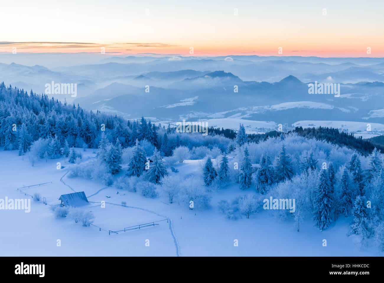 Luban tree hi-res stock photography and images - Alamy