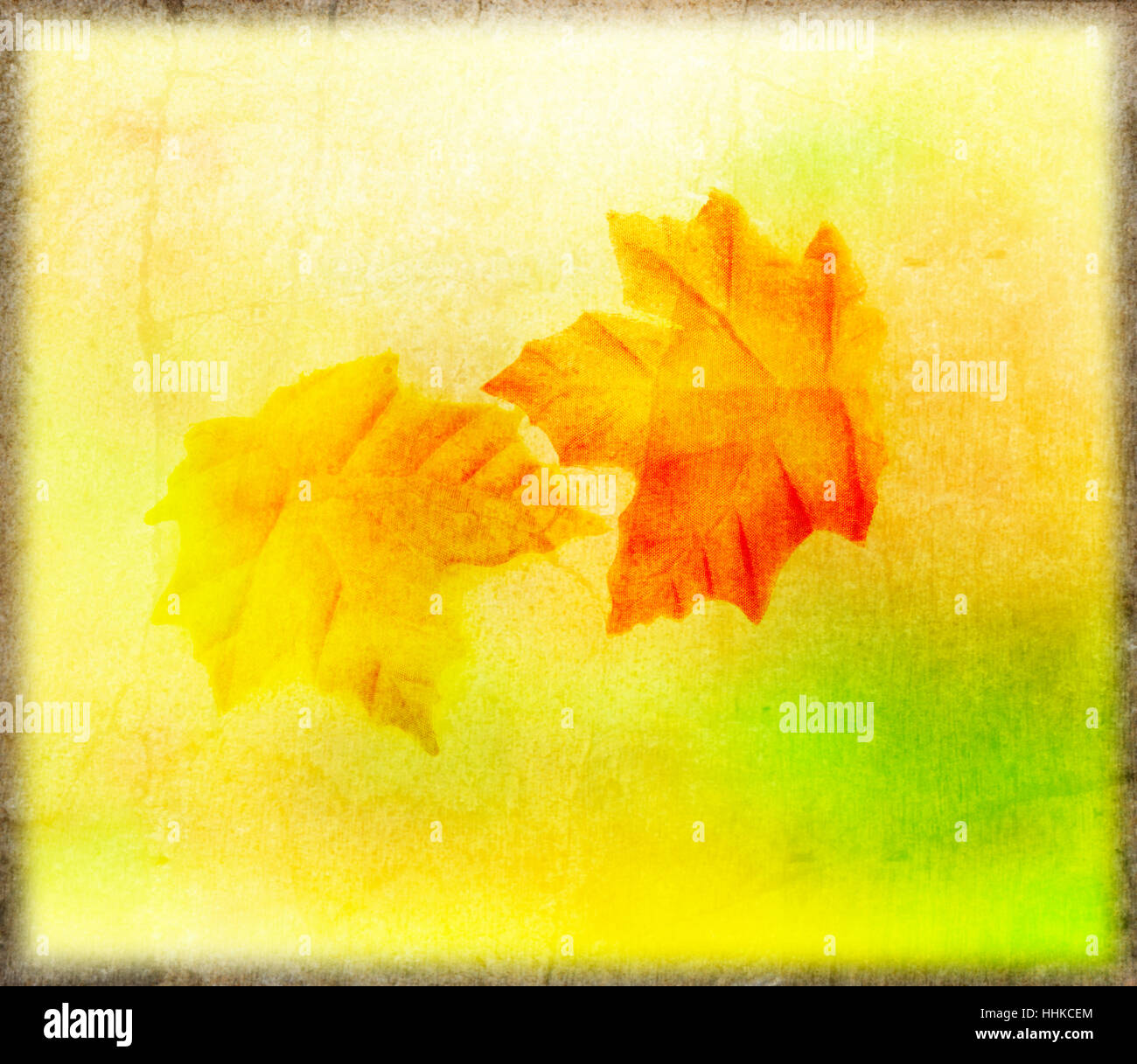 leaf, green, colorful, backdrop, background, yellow, fall, autumn, leaf ...