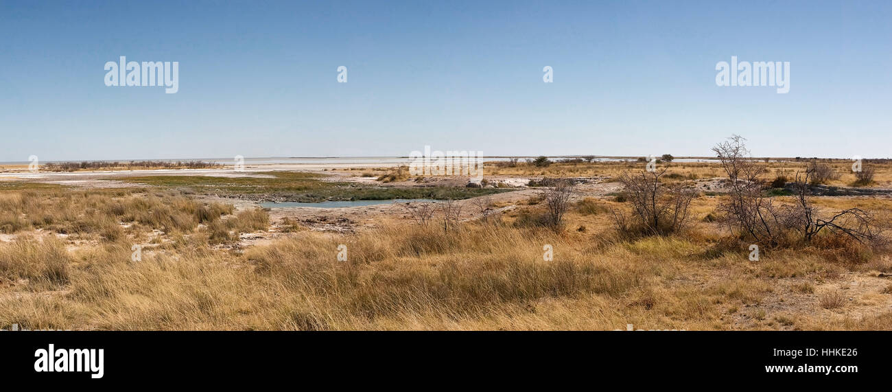 africa, namibia, waterhole, scenery, countryside, nature, legs, salt ...