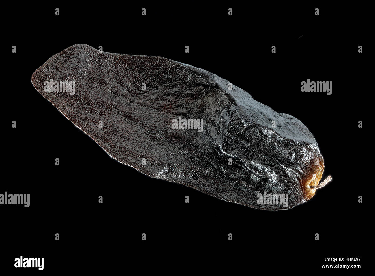 Curled plantain lily hi-res stock photography and images - Alamy