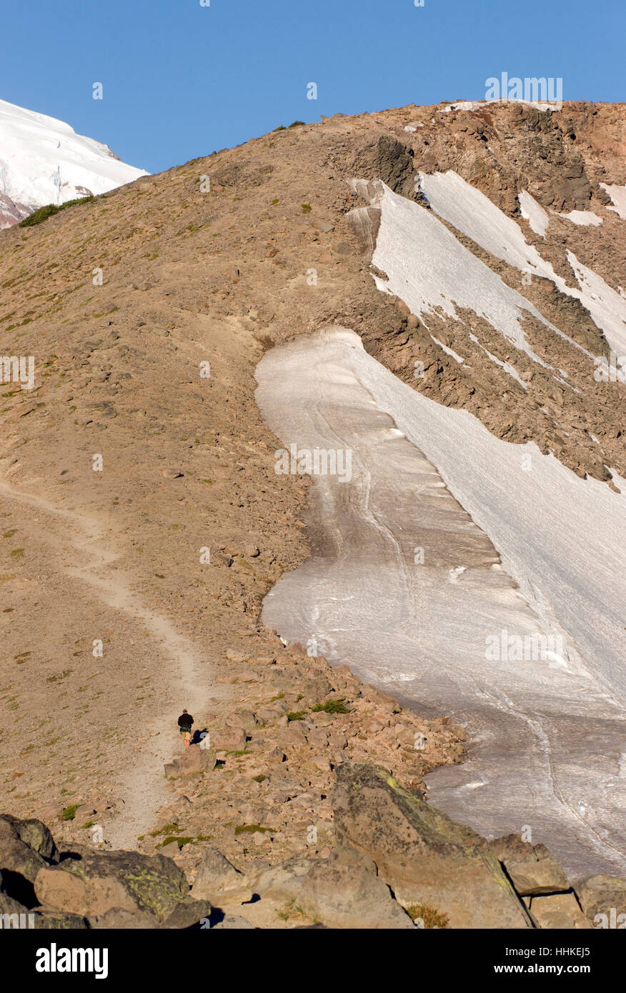 humans, human beings, people, folk, persons, human, human being, walk ...