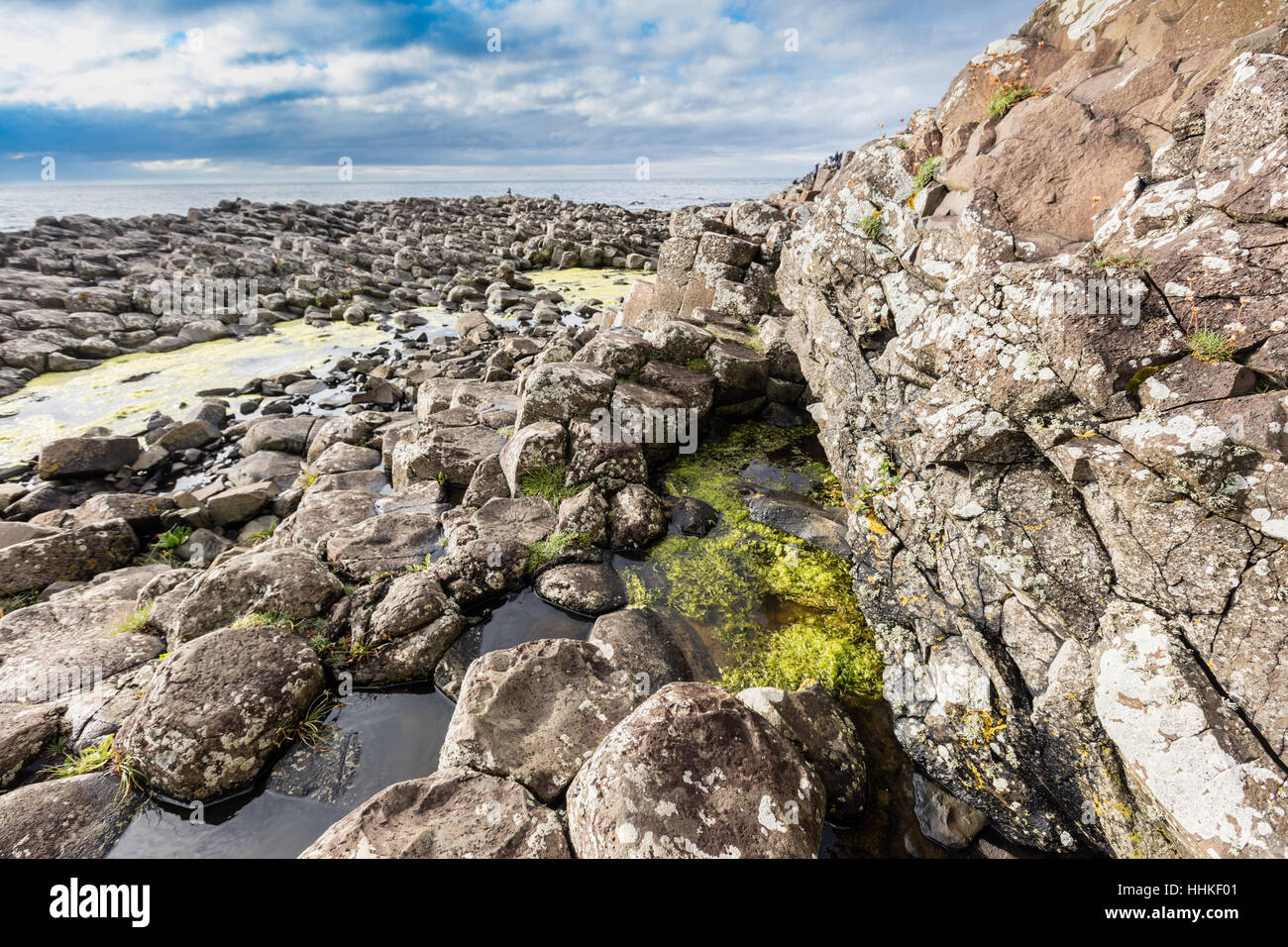 The Giant's Causeway is an area of about 40,000 interlocking basalt ...