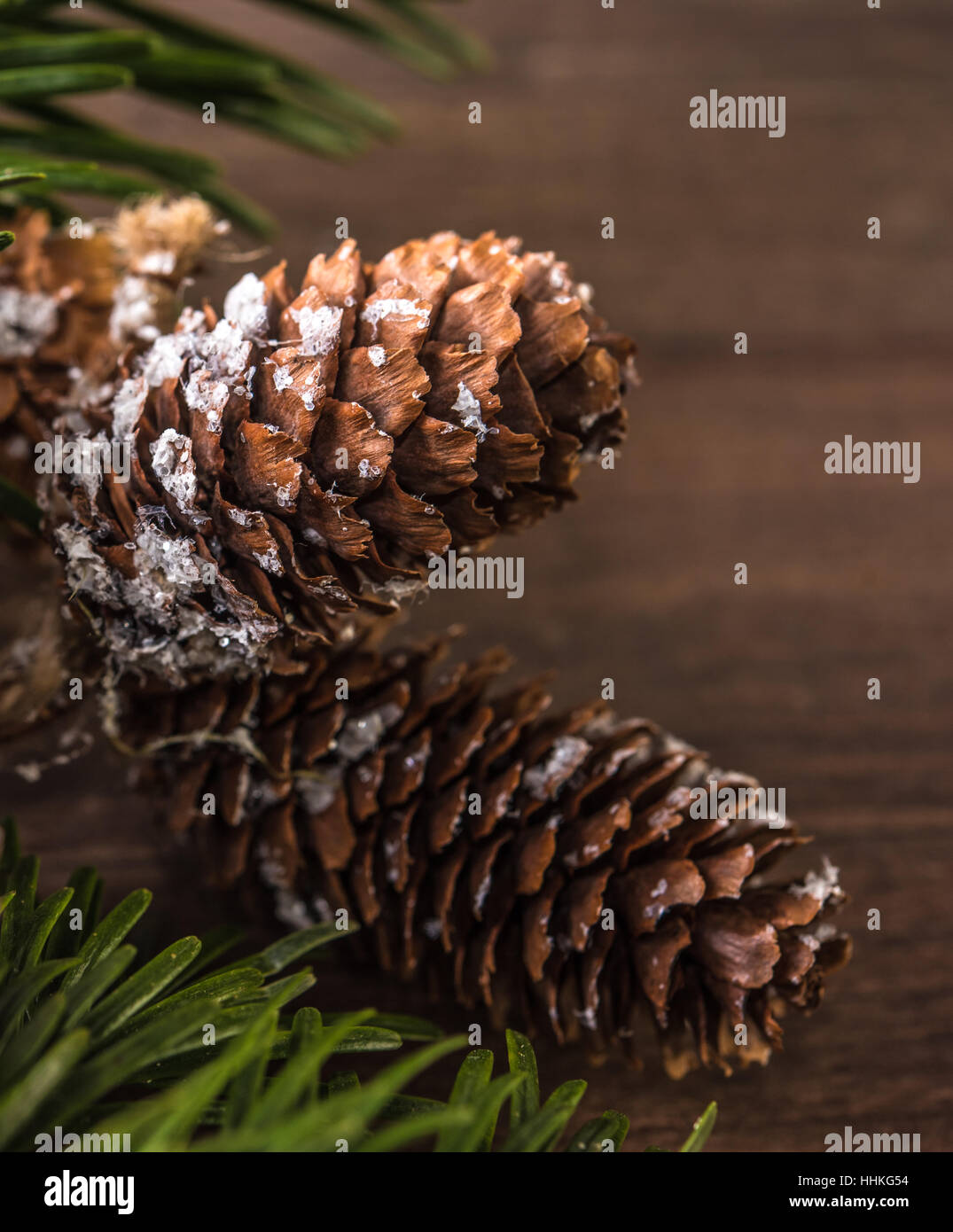 Snowy pine cones hi-res stock photography and images - Alamy