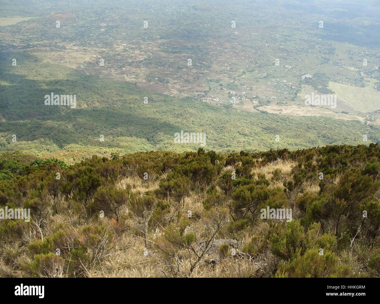 Albertine rift mountains hi-res stock photography and images - Alamy