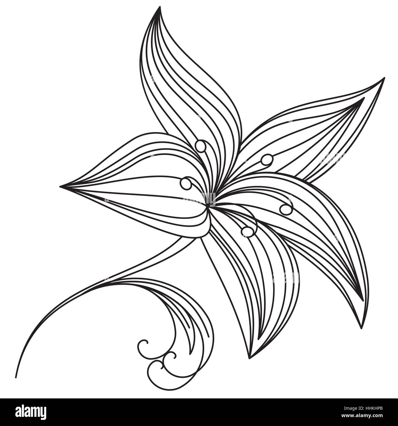 beautiful, beauteously, nice, leaf, single, art, isolated, colour ...