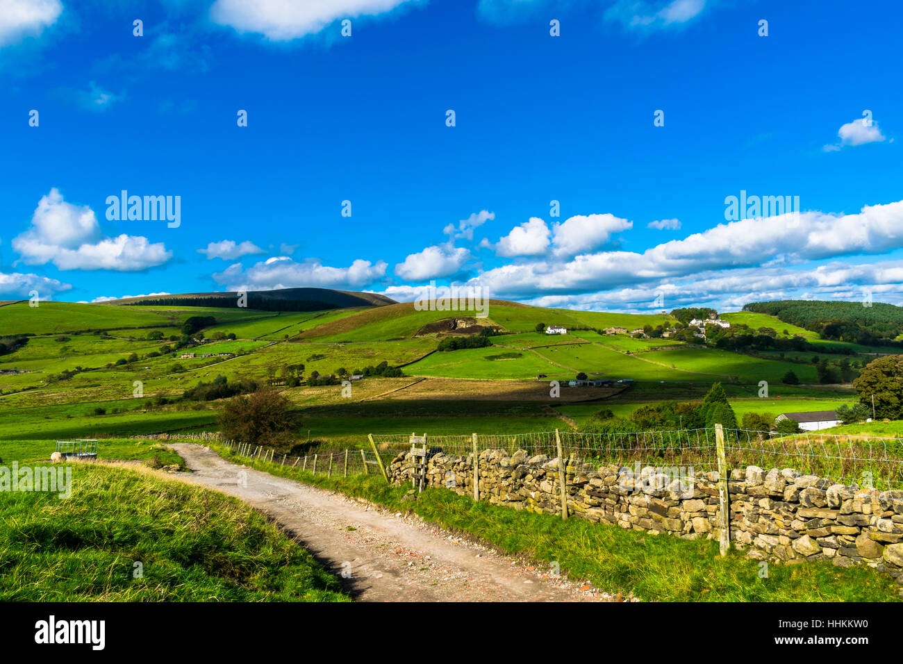 Summertime farms in Lancashire, Forest Of Bowland, England UK Stock ...