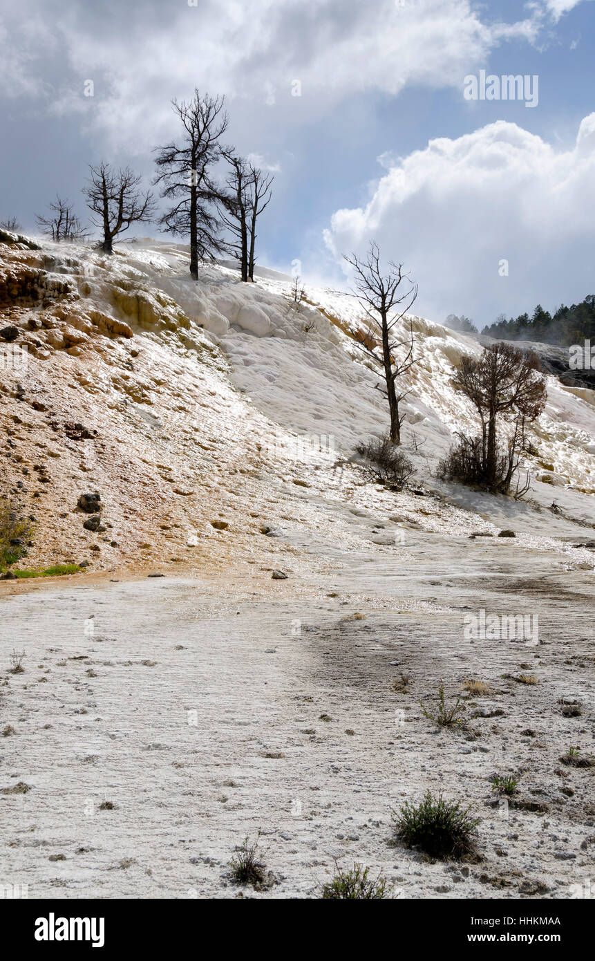 park, nature, environment, enviroment, tree, trees, park, national park ...