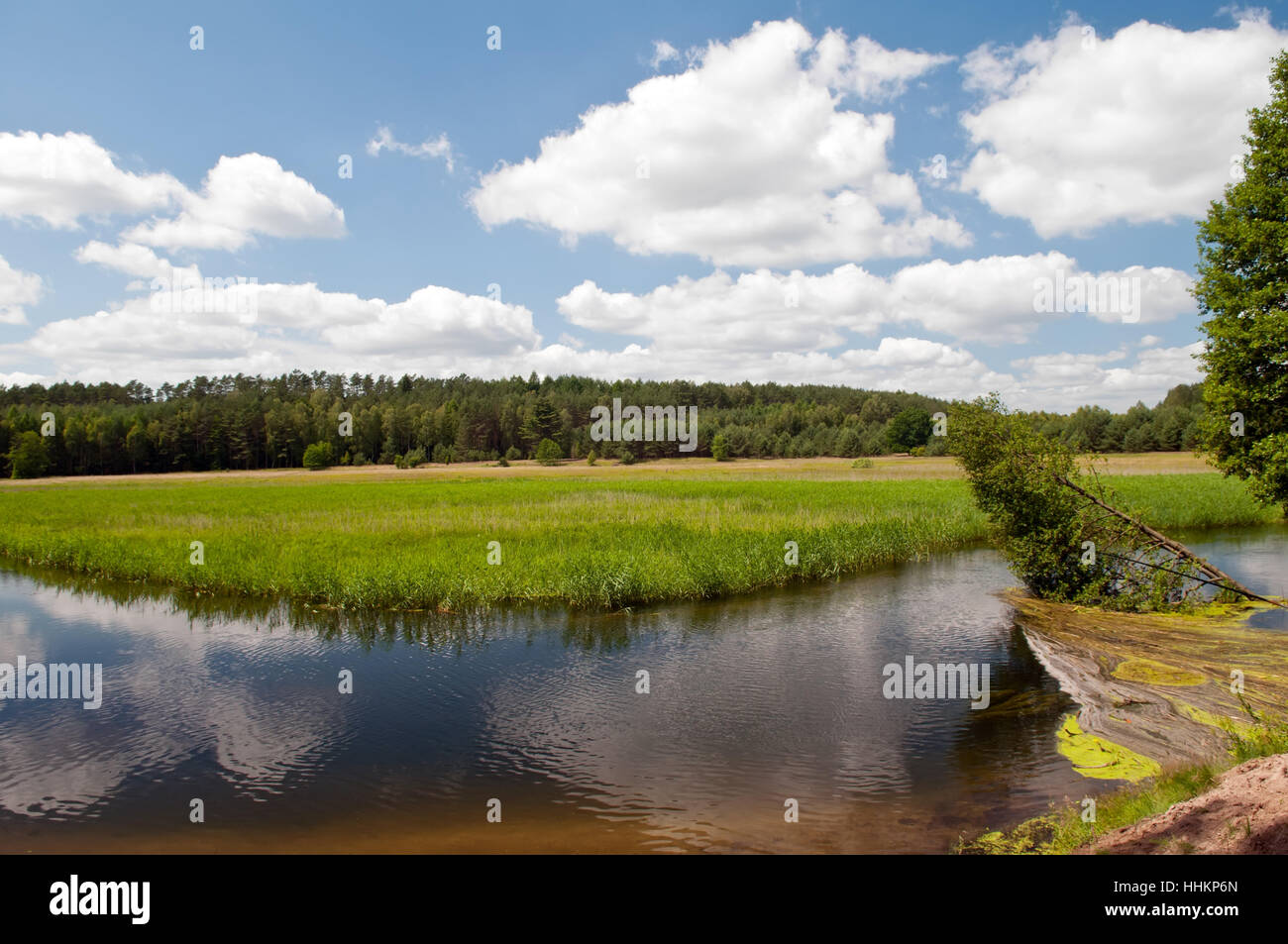 bank of a river, river-bank, reed, course of a river, bank, river ...