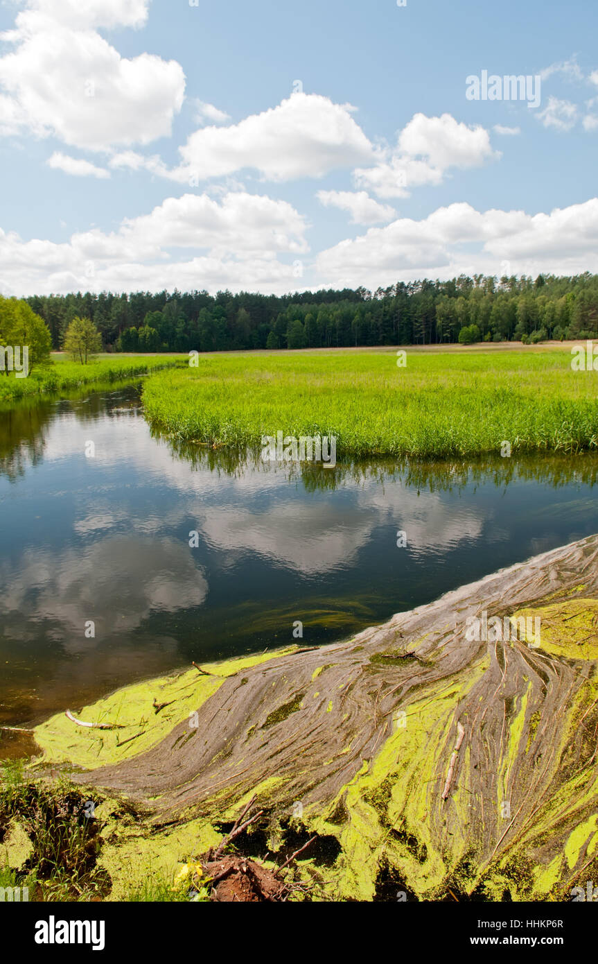 bank of a river, river-bank, reed, course of a river, bank, river ...