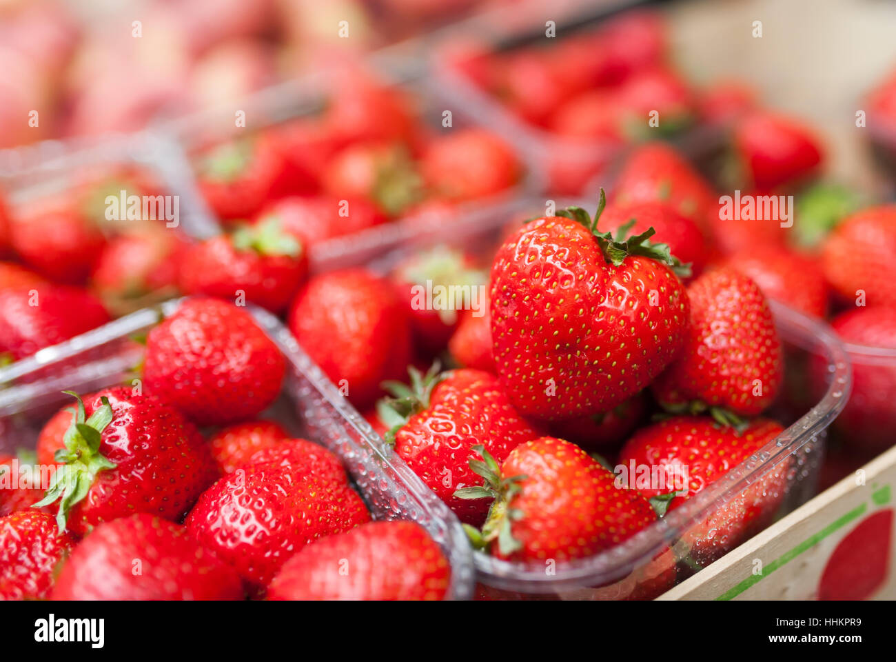 Strawberry shot on the market in the morning after the dew Stock Photo ...