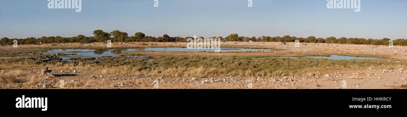 africa, namibia, waterhole, scenery, countryside, nature, travel ...