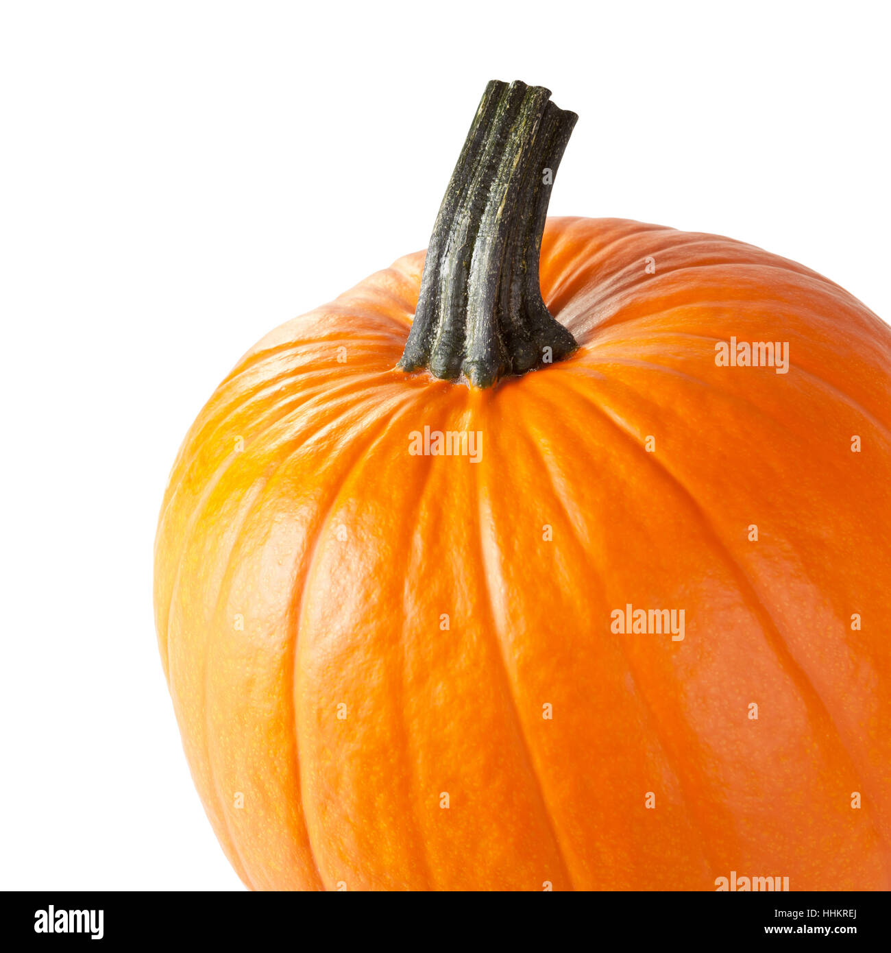 harvest, vegetable, halloween, pumpkin, stalk, stem, thanksgiving ...