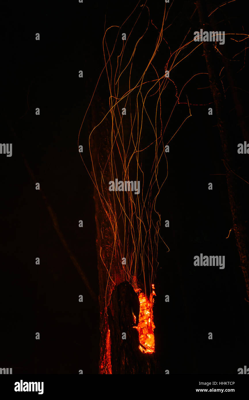 Wood burning during a forest fire - like a volcanic eruption Stock ...