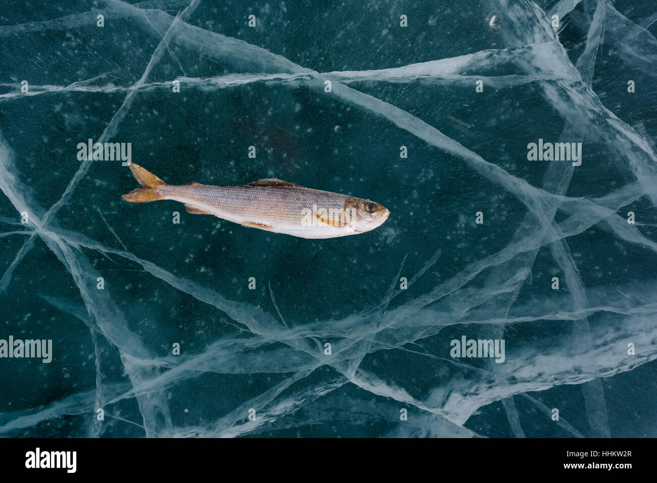 Deepest freshwater body hi-res stock photography and images - Alamy