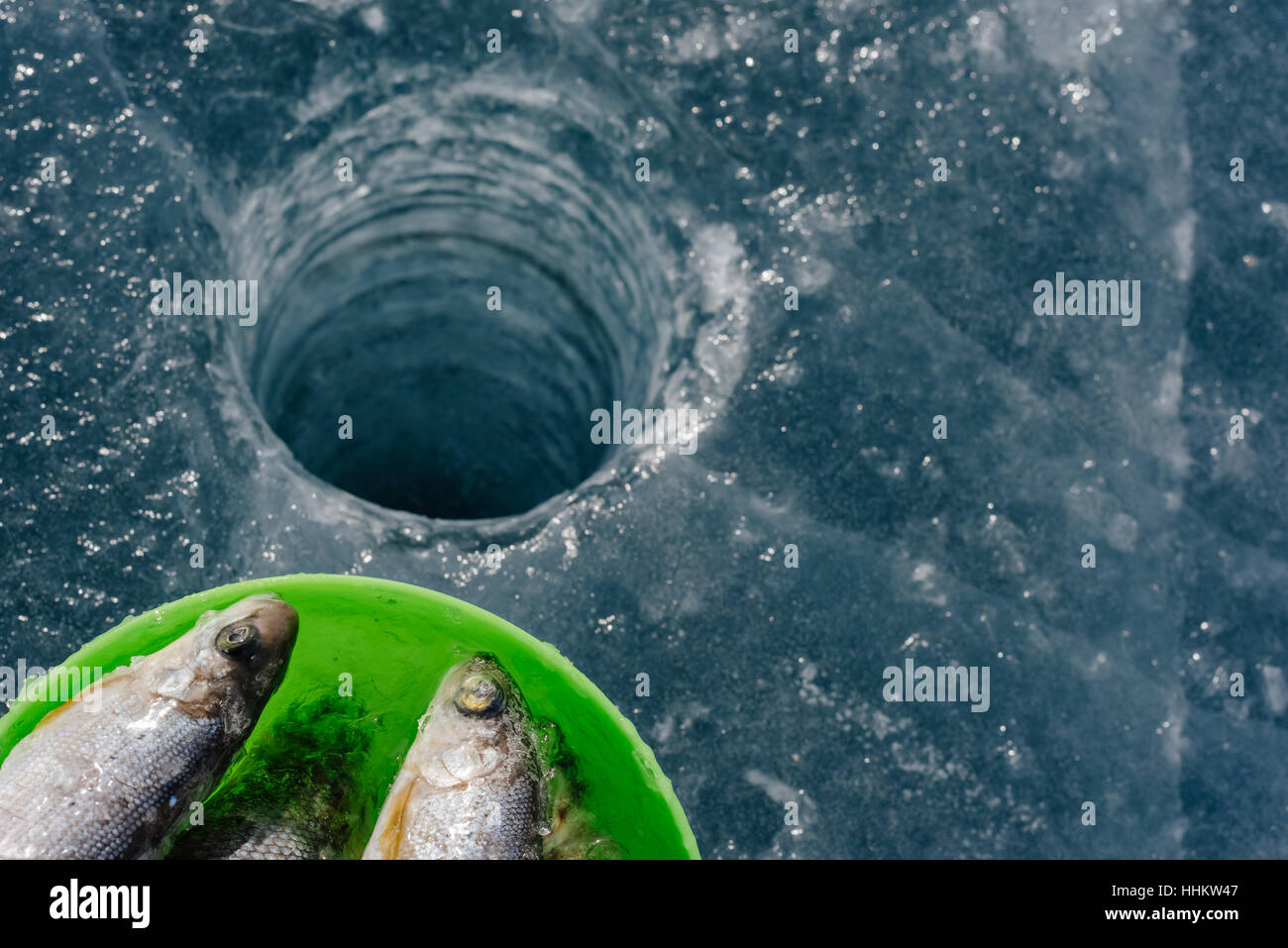 Winter fishing on Lake Baikal. Catching perch and grayling in the clean ...