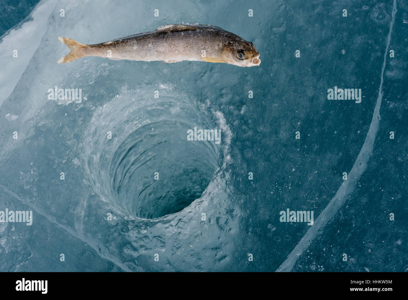 Winter fishing on Lake Baikal. Catching perch and grayling in the clean ...
