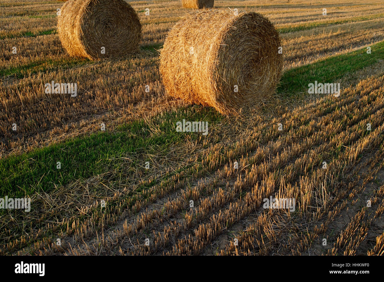 Image crop hi-res stock photography and images - Alamy