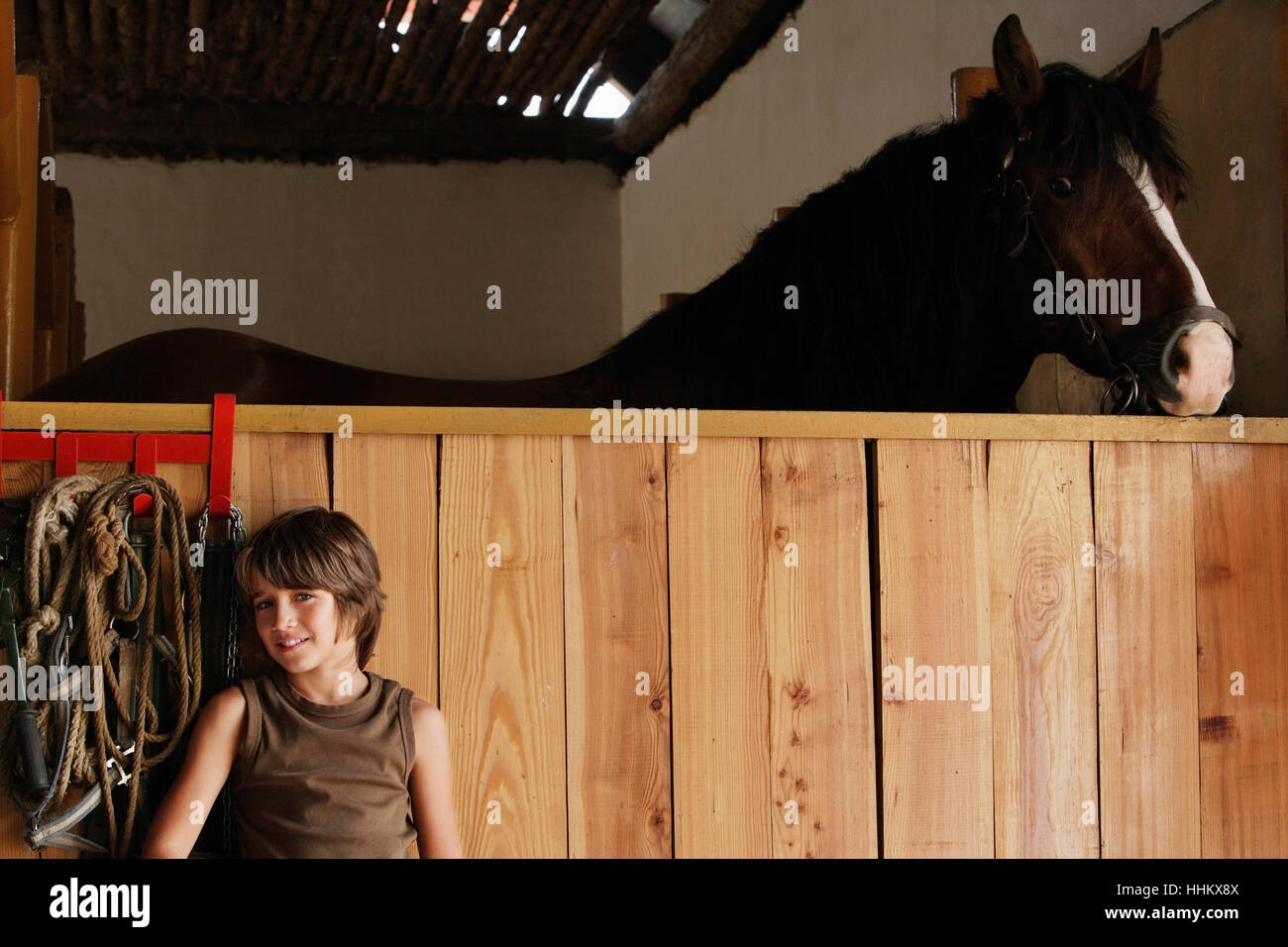 boy in stable next to horse Stock Photo - Alamy