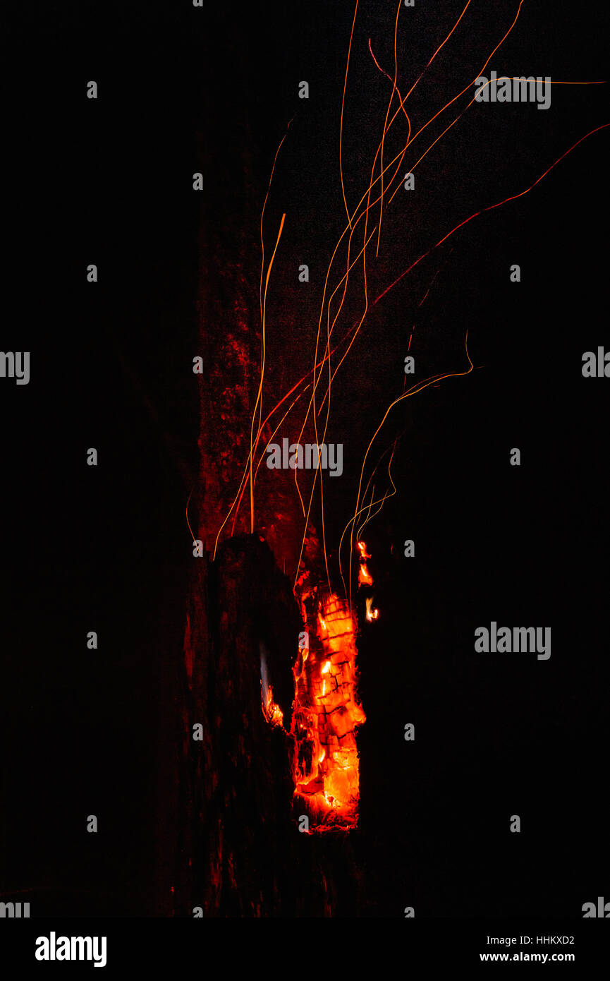Wood burning during a forest fire - like a volcanic eruption Stock ...