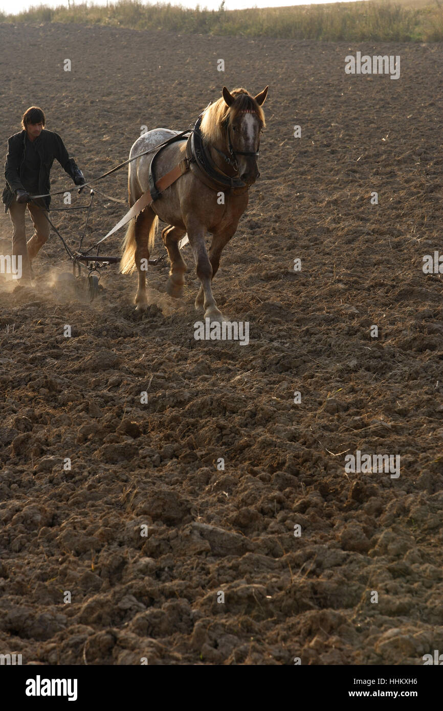 Man with horse-drawn plow Stock Photo - Alamy