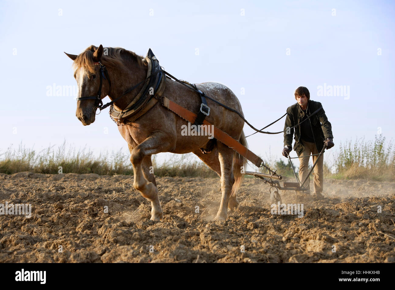 Man with horse-drawn plow Stock Photo - Alamy