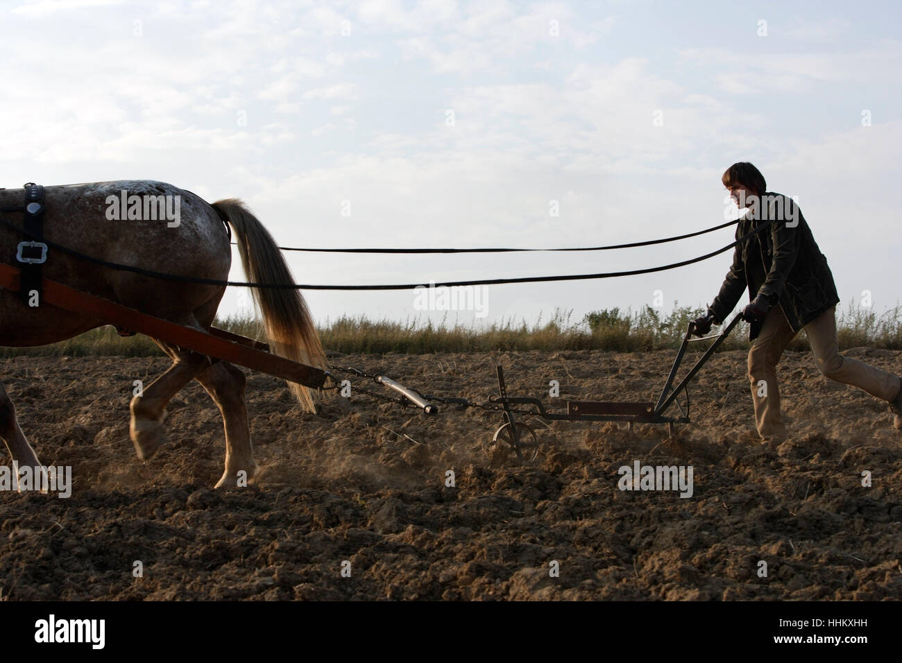 Man with horse-drawn plow Stock Photo - Alamy