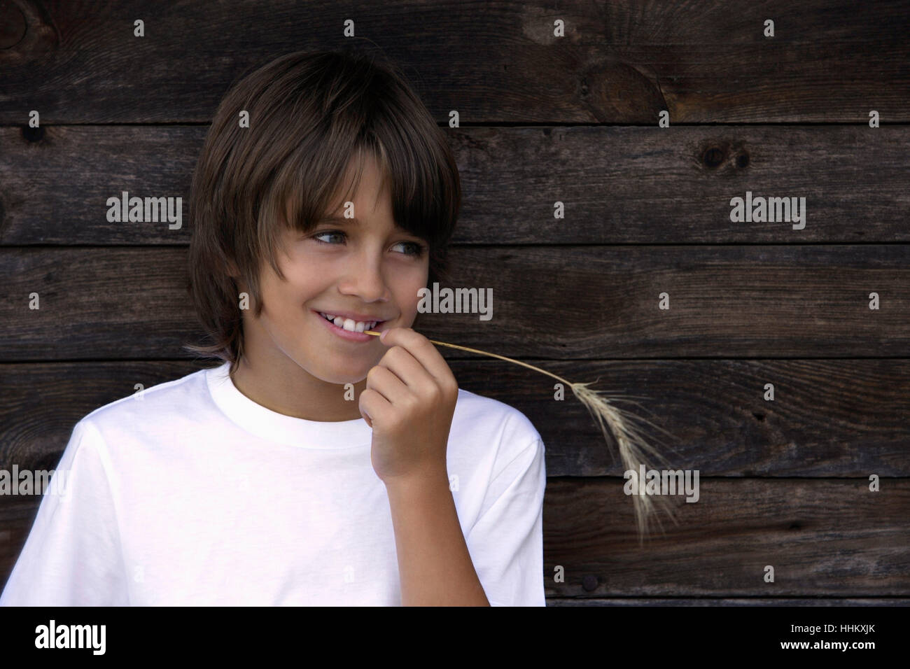 boy with piece of wheat in his teeth Stock Photo - Alamy