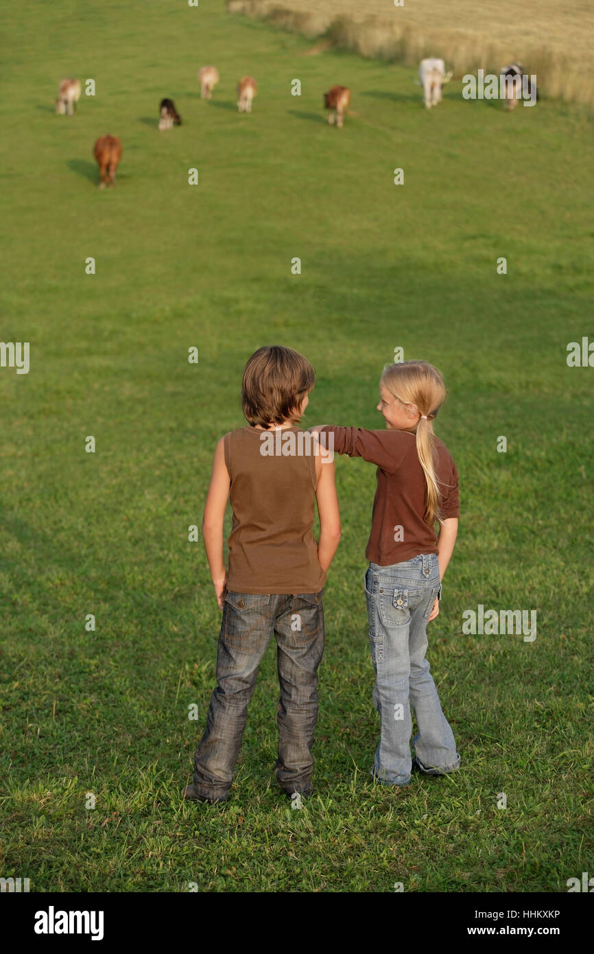 kids watching the cows Stock Photo - Alamy