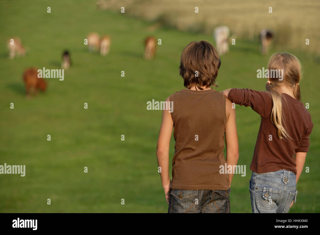 kids watching cows Stock Photo - Alamy
