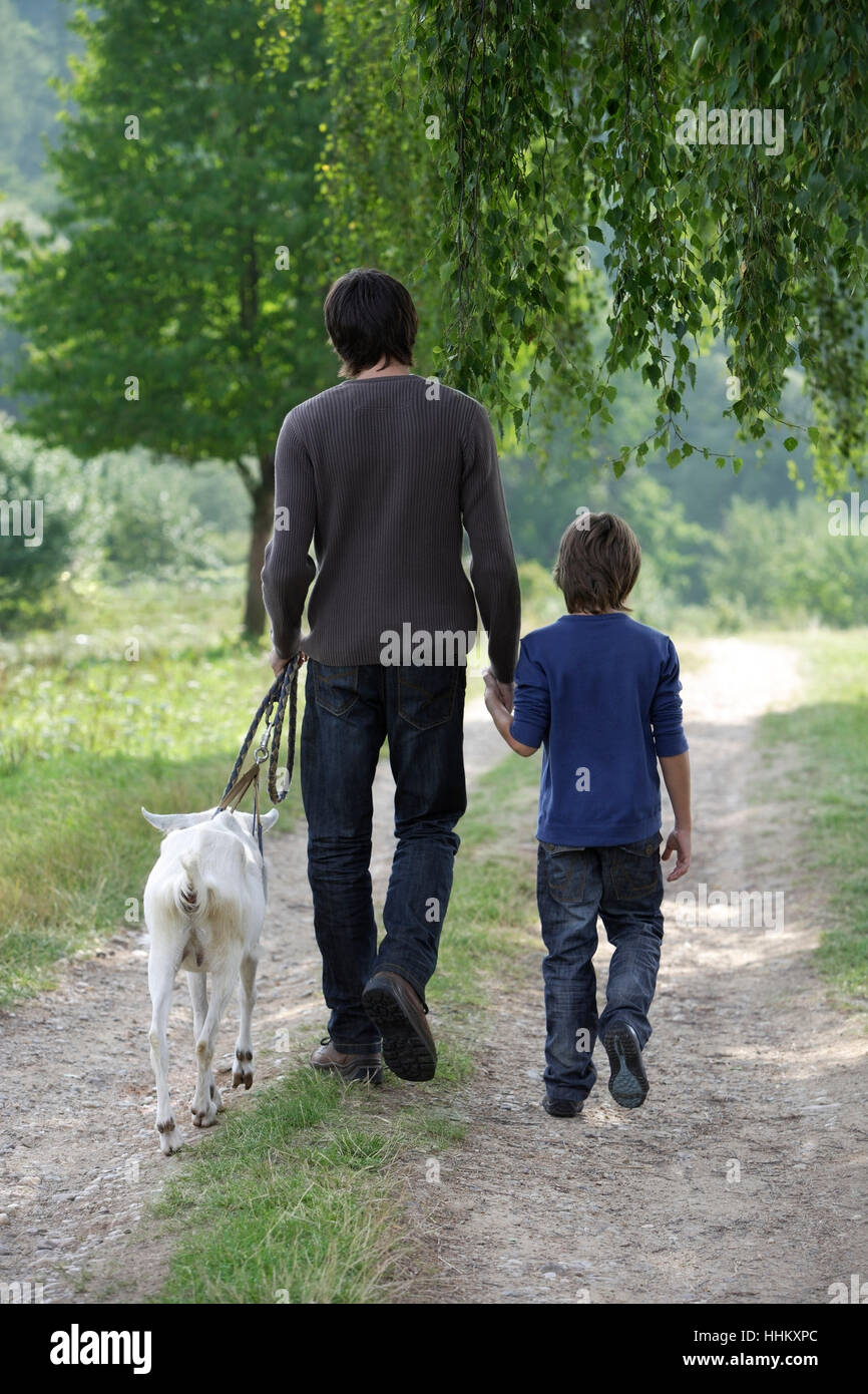 Father son goat hi-res stock photography and images - Alamy