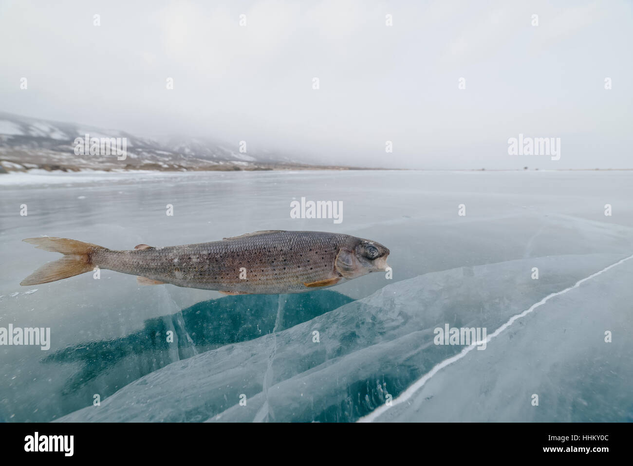 Baikal lake textures hi-res stock photography and images - Alamy