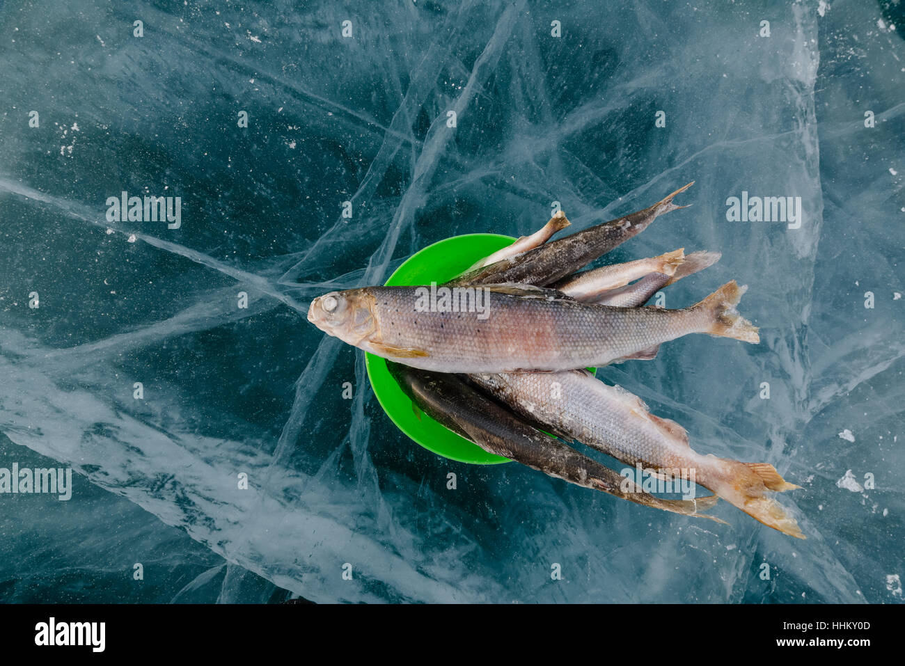 Winter fishing on Lake Baikal. Catching perch and grayling in the clean ...