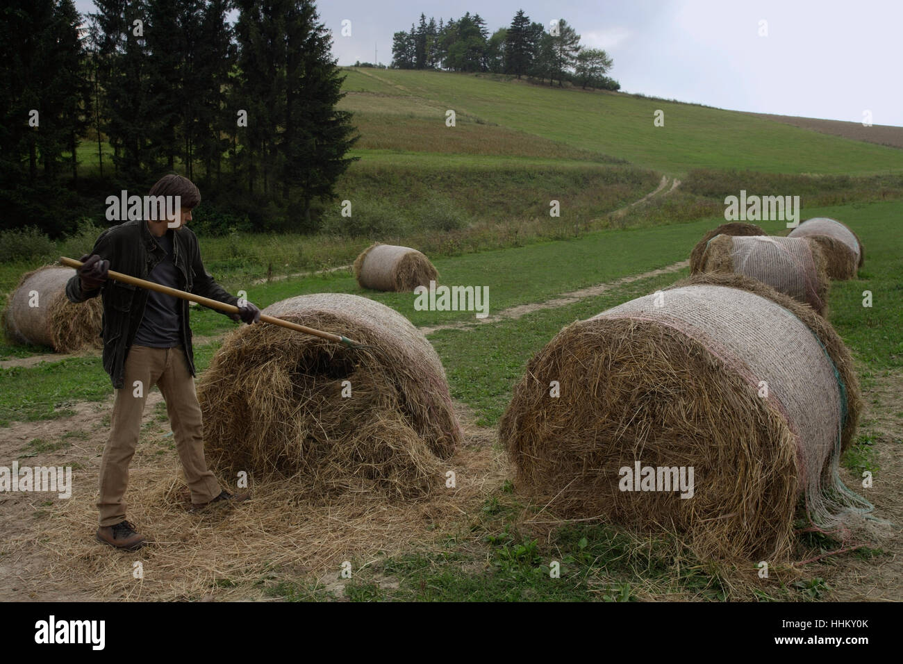 man making hay stacks Stock Photo - Alamy