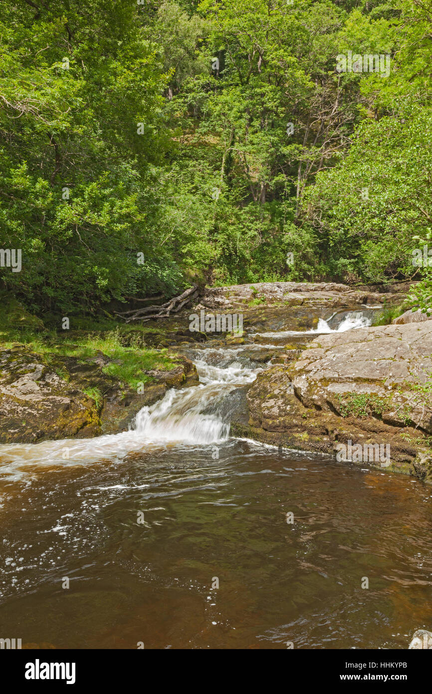 River Mellte, near Ystradfellte, Brecon Beacons National Park, Powys ...
