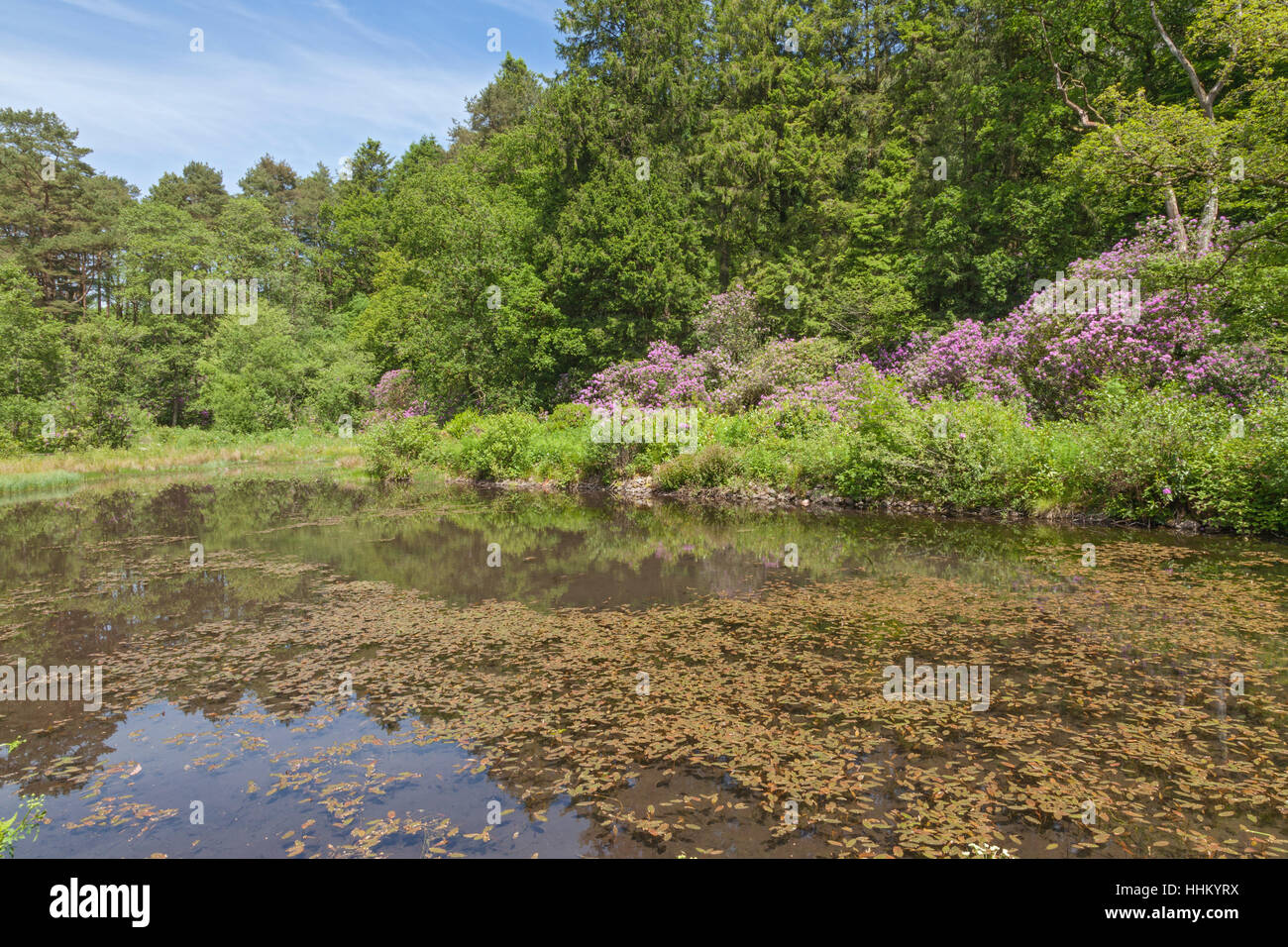 Craig y nos country park walking hi-res stock photography and images ...
