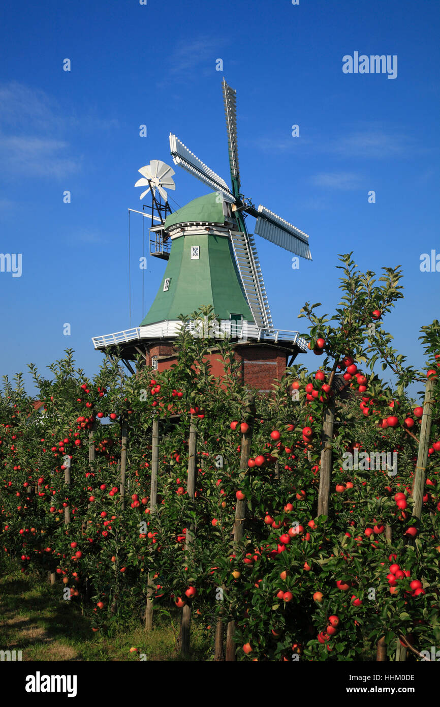 Amica hi-res stock photography and images - Alamy