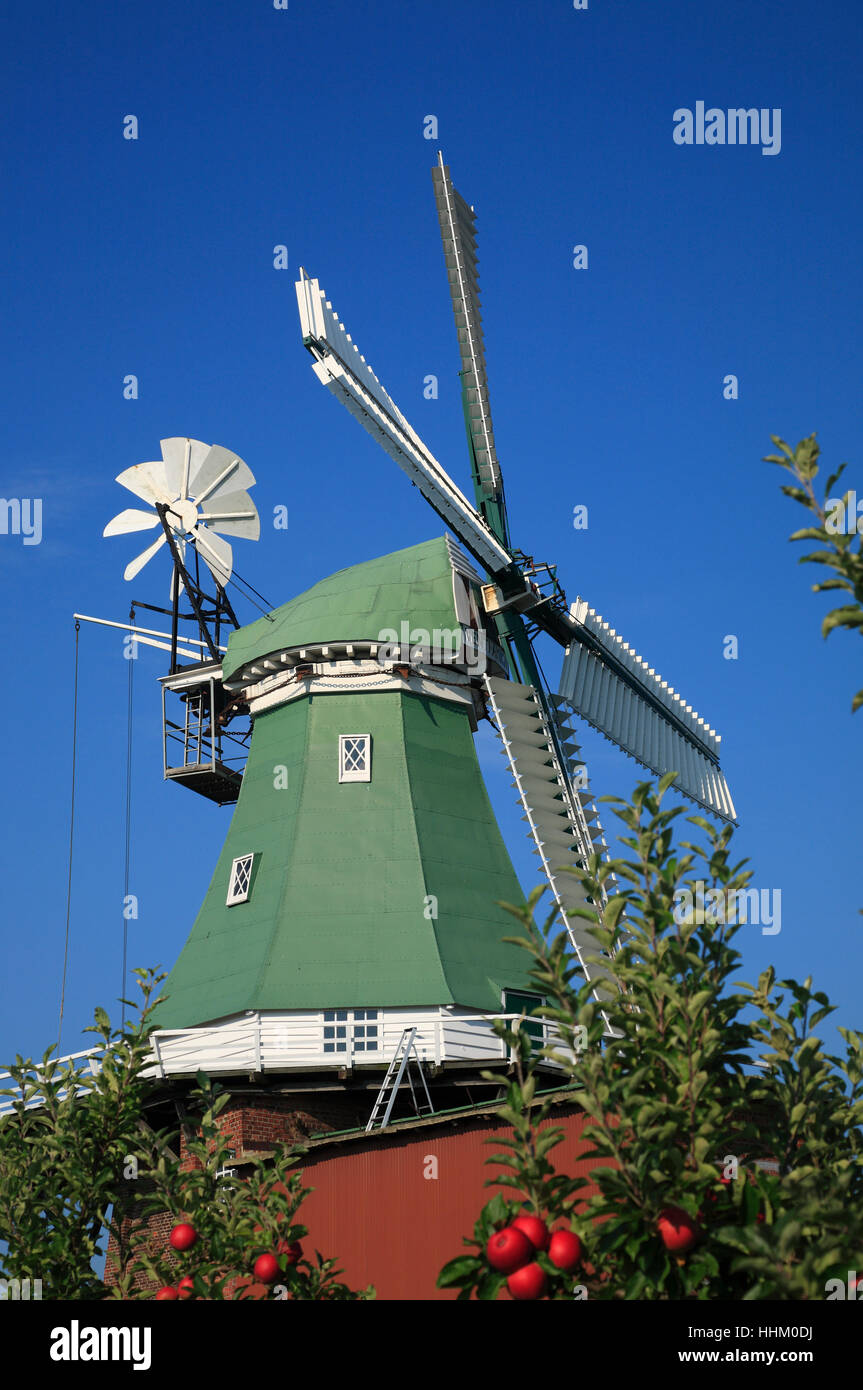 Amica hi-res stock photography and images - Alamy