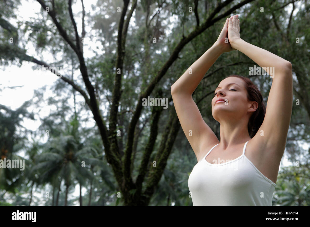 Young woman holding hands up in yoga pose under trees Stock Photo - Alamy