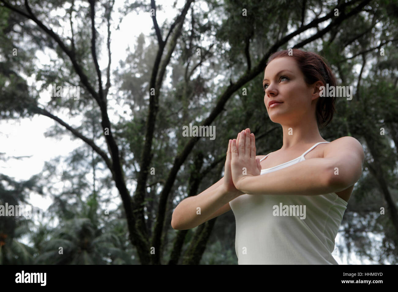 Young woman holding hands together in yoga pose under trees Stock Photo ...