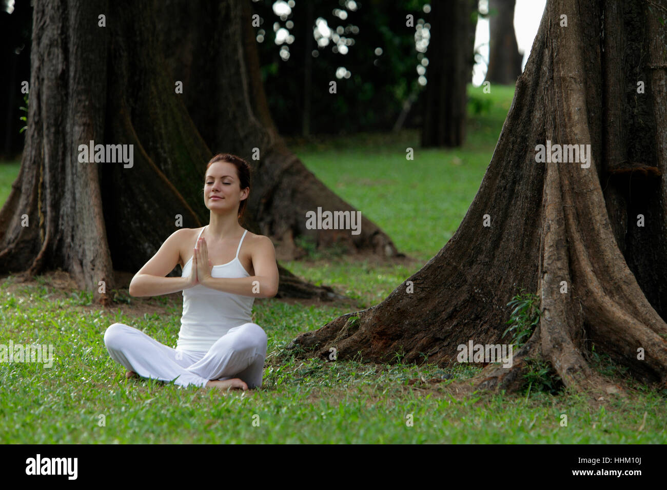 young woman sitting and doing yoga under trees Stock Photo - Alamy